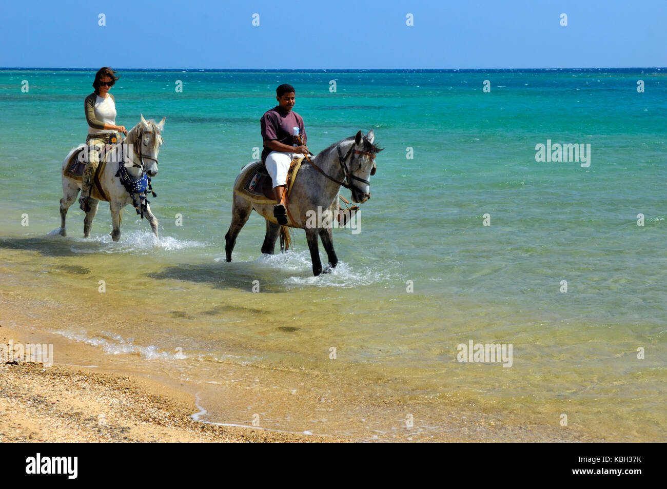 Horse Ride In The Sea Stock Photo Alamy horse-ride-in-the-sea-stock-photo-alamy