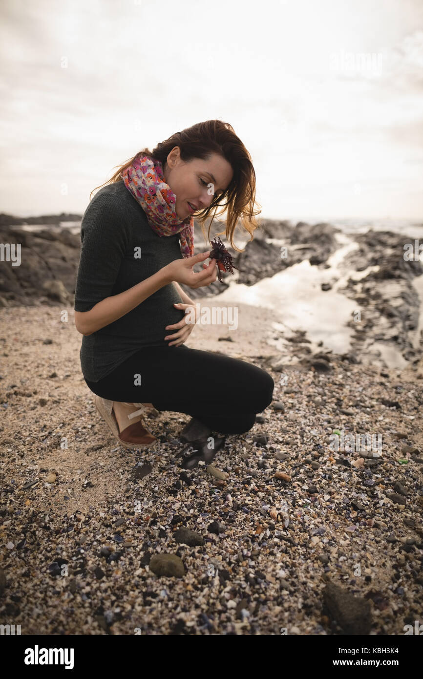 Woman with sea shell at the beach hi-res stock photography and images ...