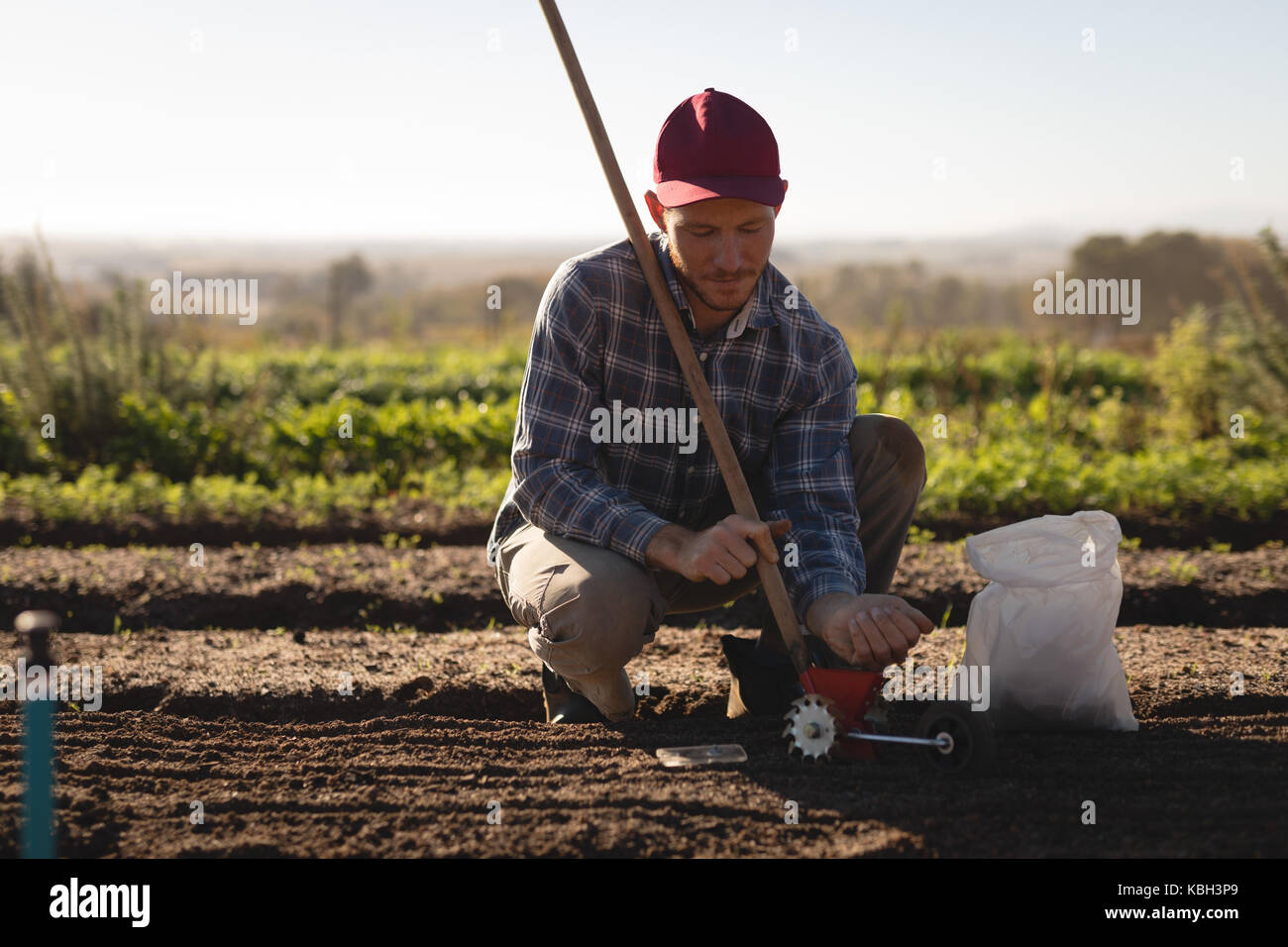 Farmer Sowing Seeds By Hand High Resolution Stock Photography and ...