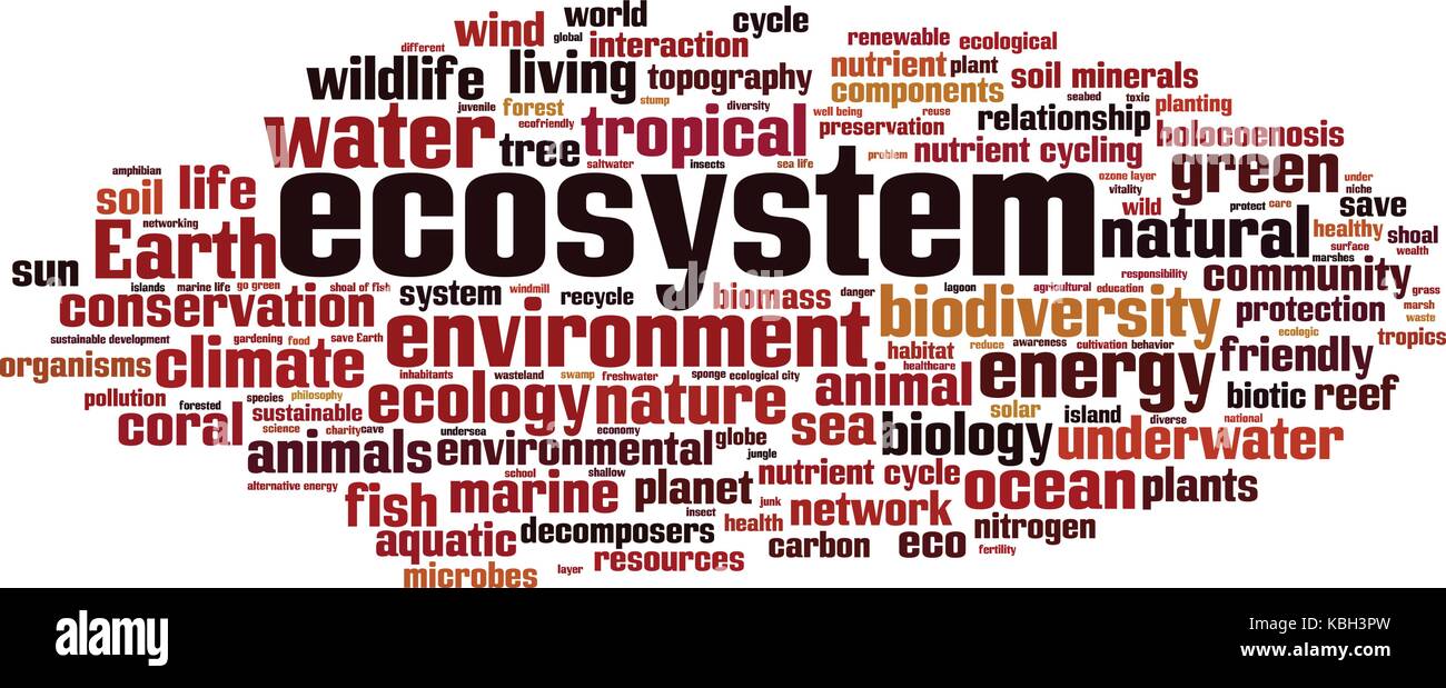 Ecosystem word cloud concept. Vector illustration Stock Vector Image ...