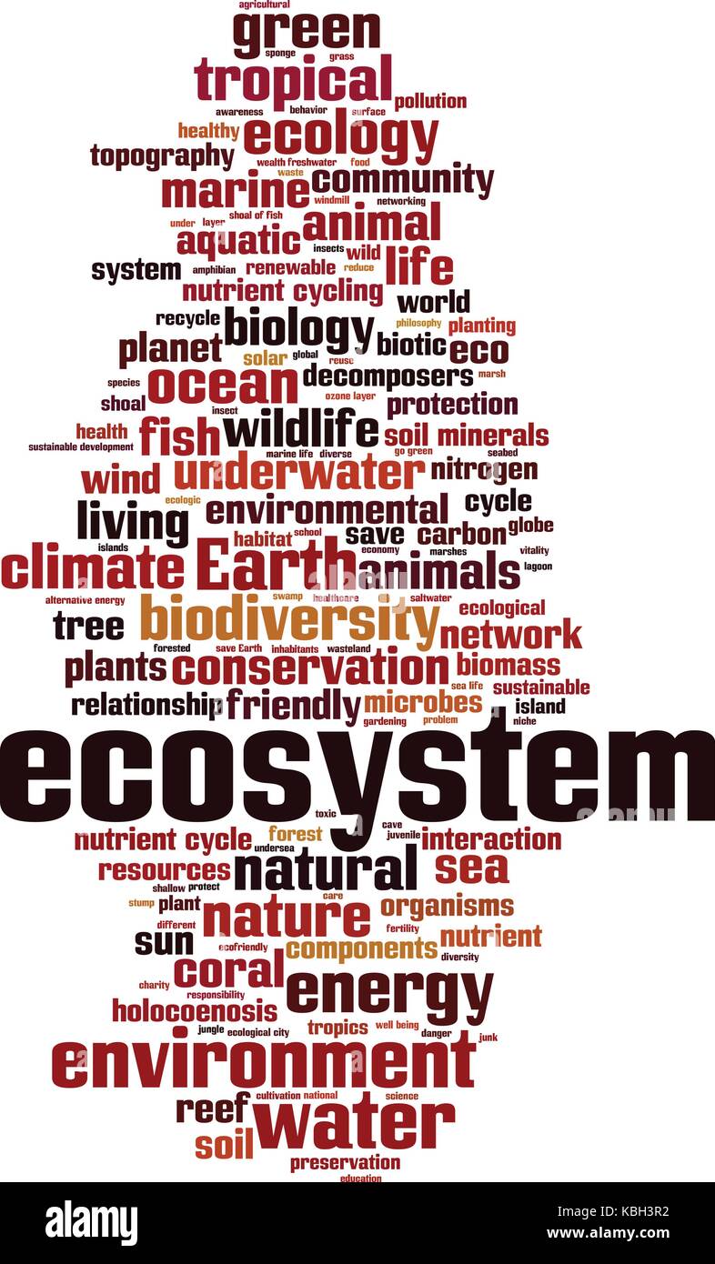 Ecosystem word cloud concept. Vector illustration Stock Vector Image ...