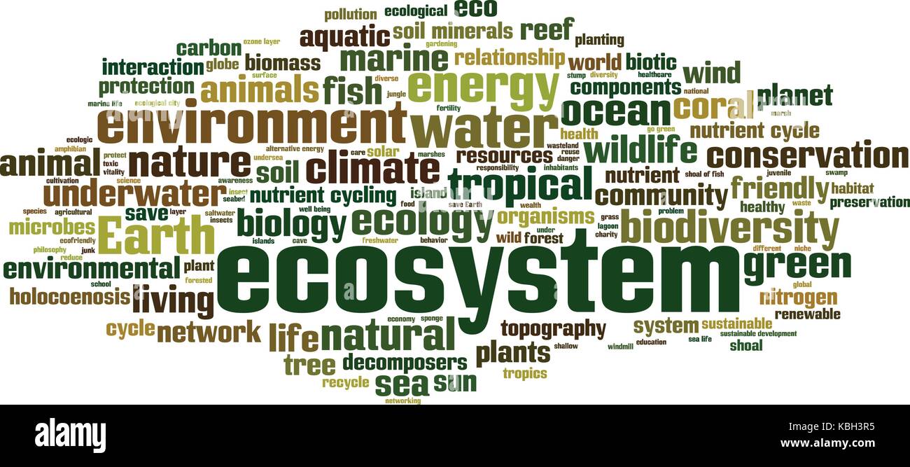 Ecosystem word cloud concept. Vector illustration Stock Vector Image ...