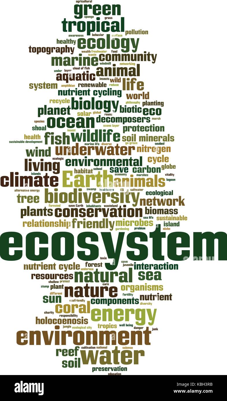 Ecosystem word cloud concept. Vector illustration Stock Vector Image ...