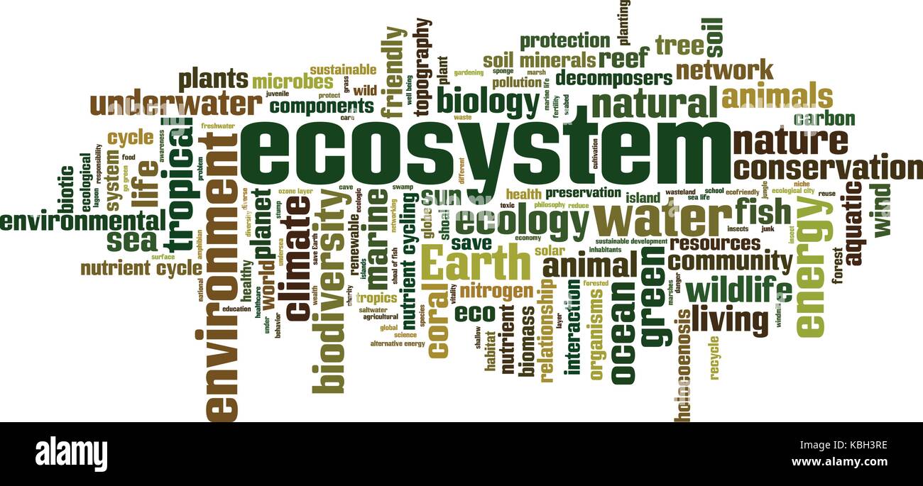 Ecosystem word cloud concept. Vector illustration Stock Vector Image ...