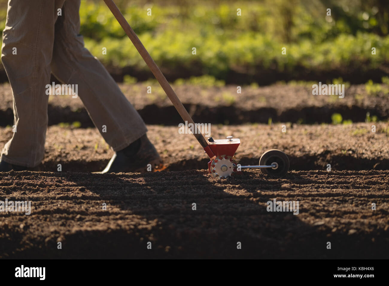 Farmer sowing seeds by hand hi-res stock photography and images - Alamy