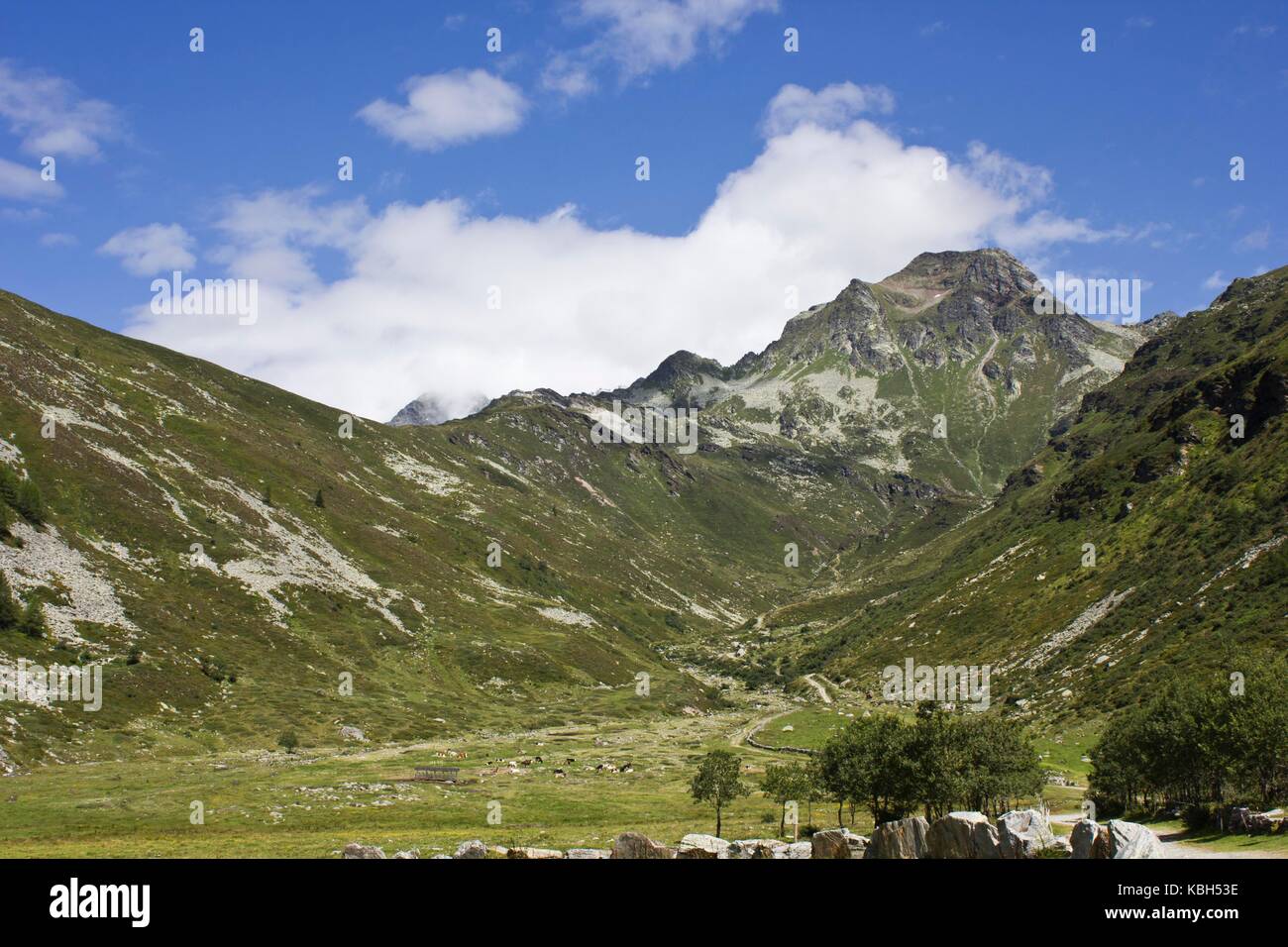 MADESIMO, ITALY - AUG 21: Madesimo Valley floor, natural and peacuful ...