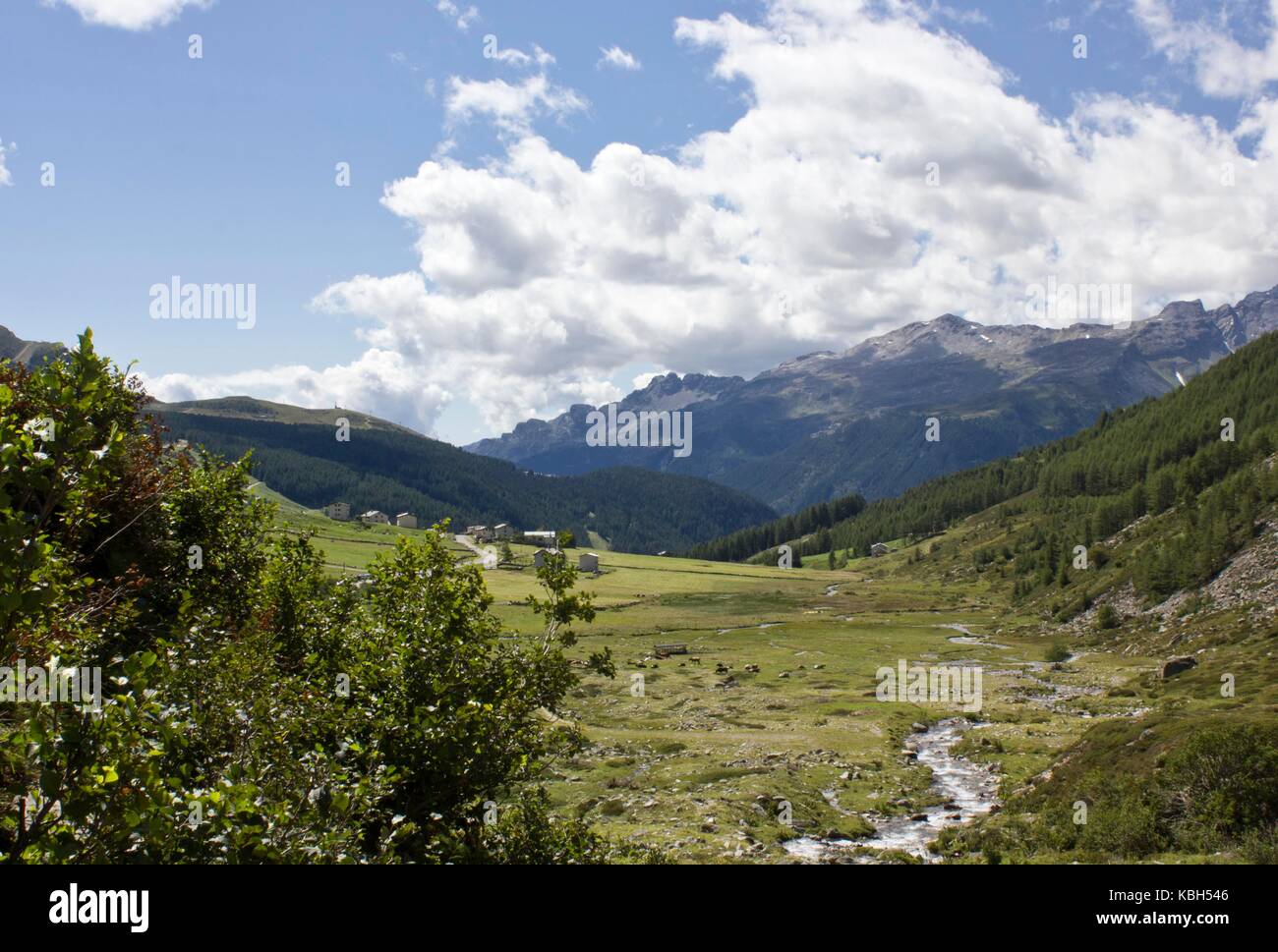 MADESIMO, ITALY - AUG 21: Madesimo Valley floor, natural and peaceful ...