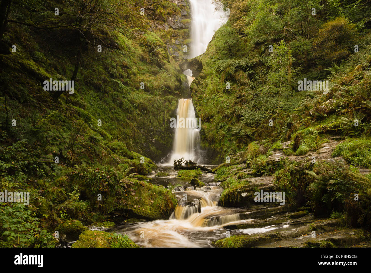 Pistyll rhaeadr llanrhaeadr ym mochnant hi-res stock photography and ...