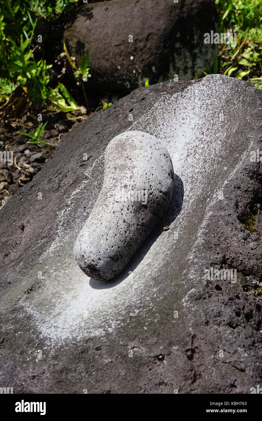 Old Hawaiian grindstone displayed at Kahanu garden, Maui. Hoana Stock ...