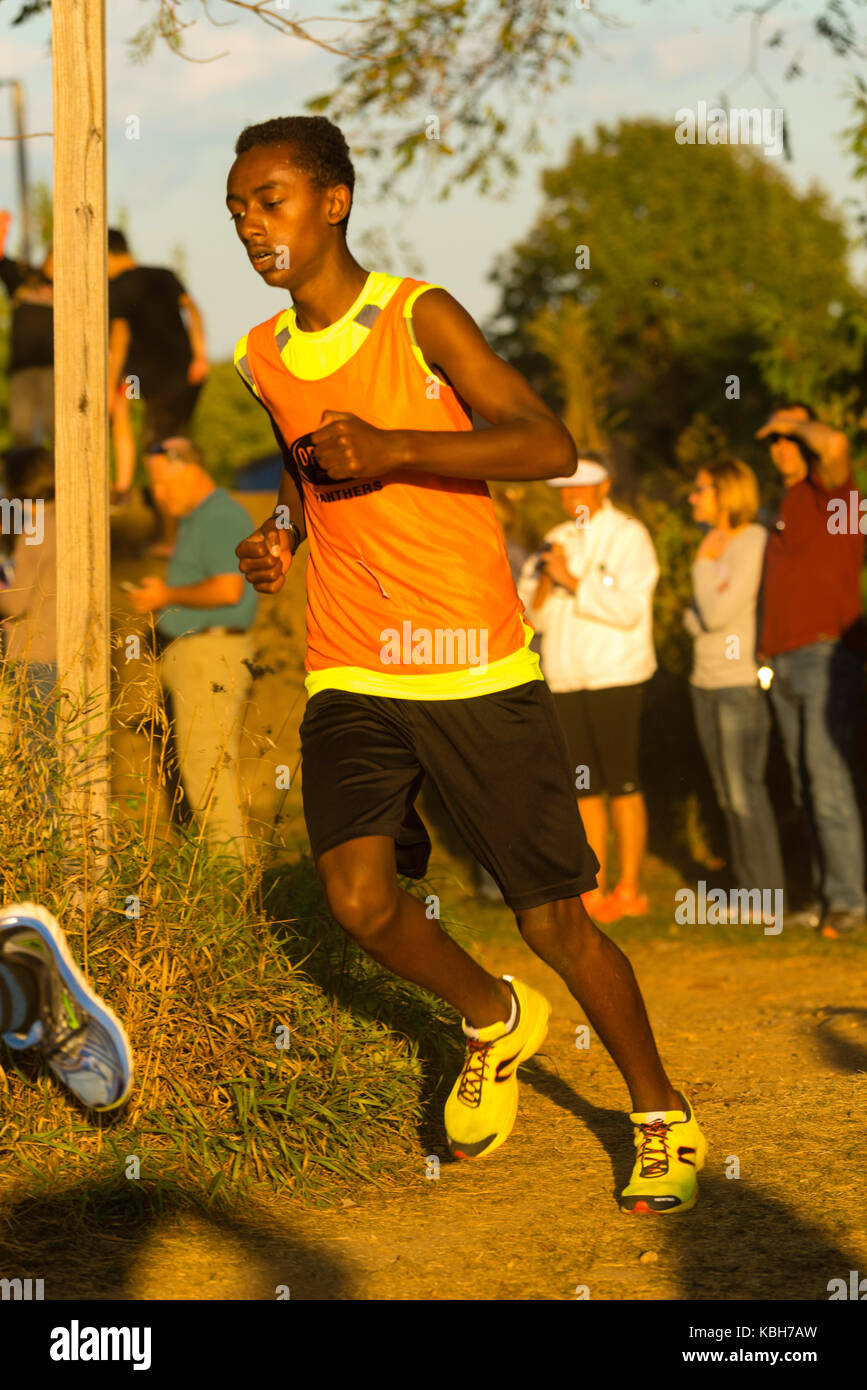 Boys participate in a cross country (running) meet at Verona Area High ...