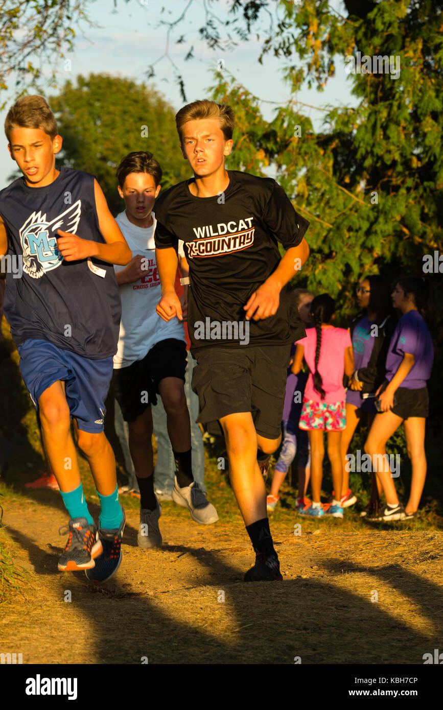 Boys participate in a cross country (running) meet at Verona Area High ...
