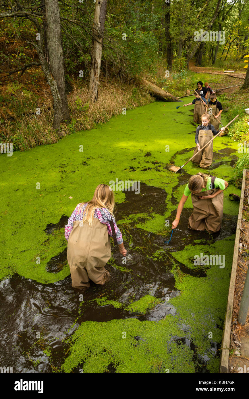 Kids walk in the water with their teacher as they learn about aquatic ...