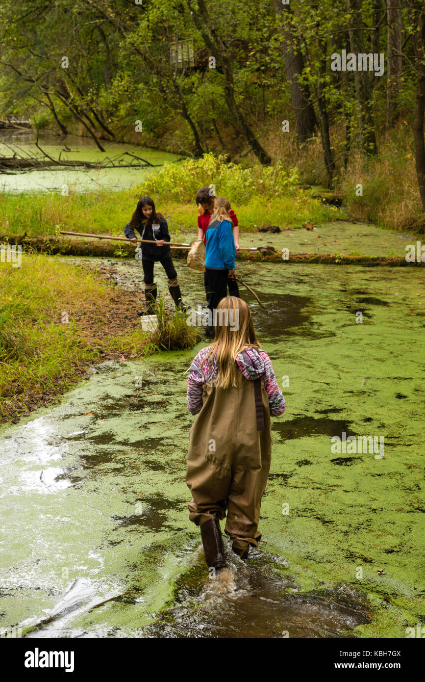 Kids walk in the water with their teacher as they learn about aquatic ...