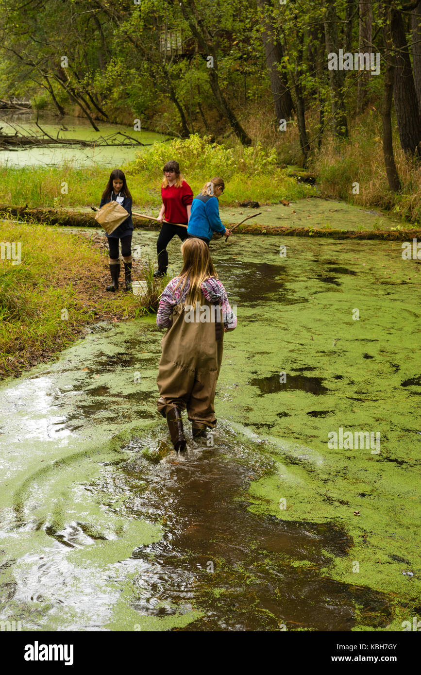 4 kids forest walk hi-res stock photography and images - Alamy