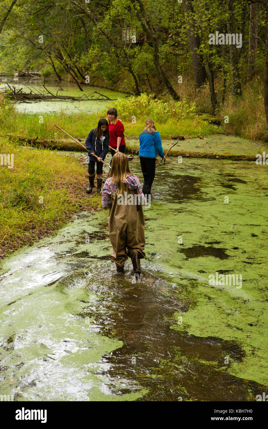 4 kids forest walk hi-res stock photography and images - Alamy