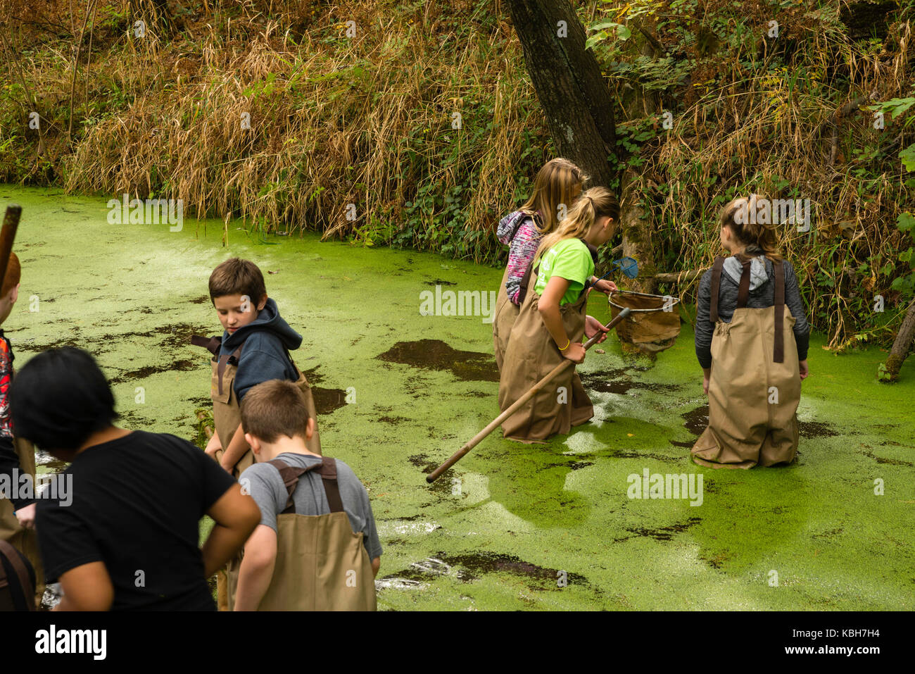 Kids walk in the water with their teacher as they learn about aquatic ...