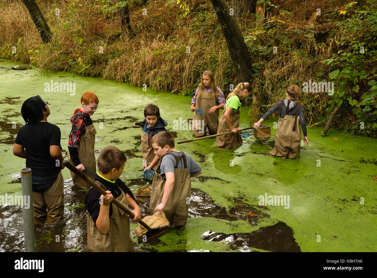 Kids walk in the water with their teacher as they learn about aquatic ...