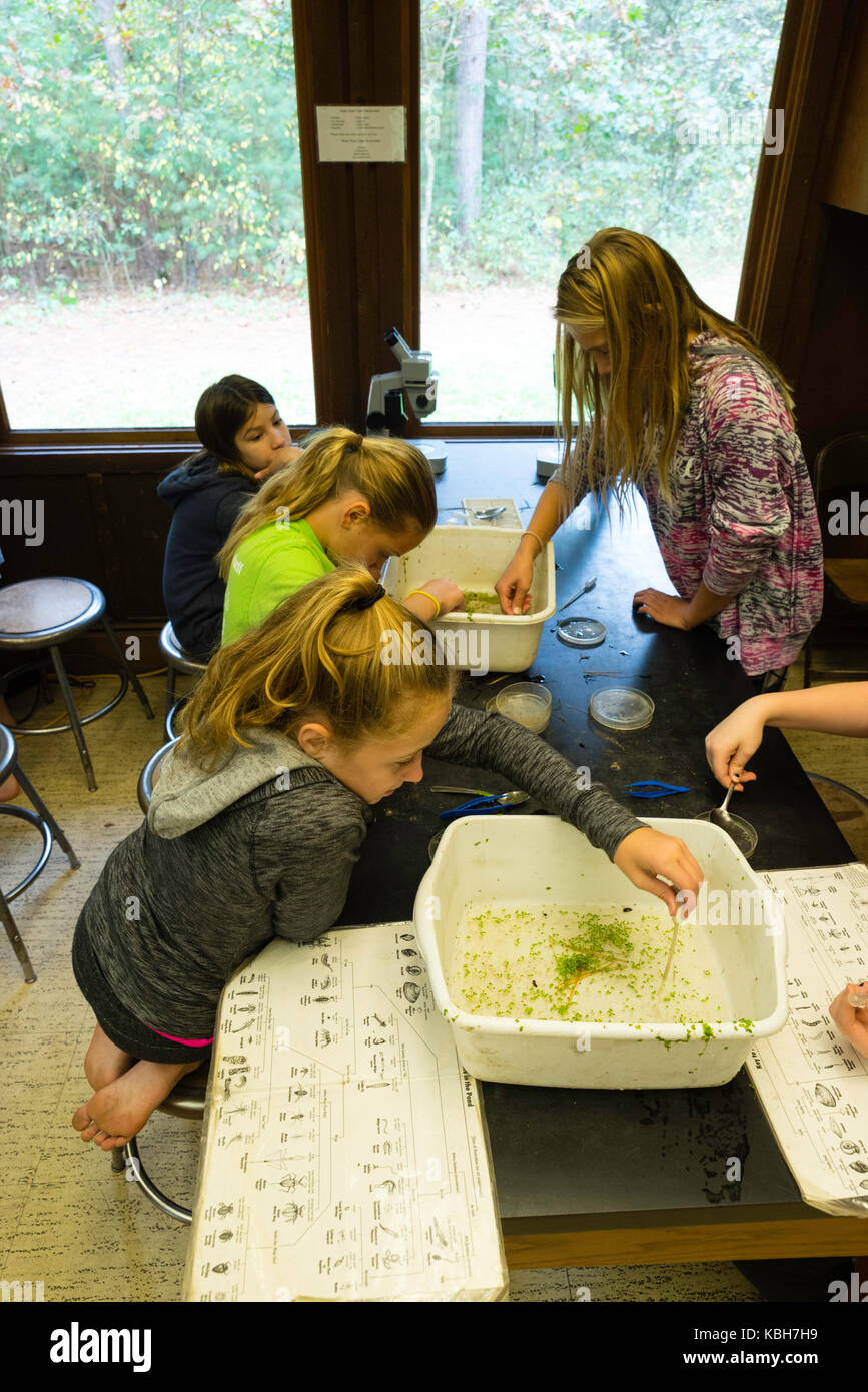Kids work in a laboratory to learn about aquatic insects and other ...