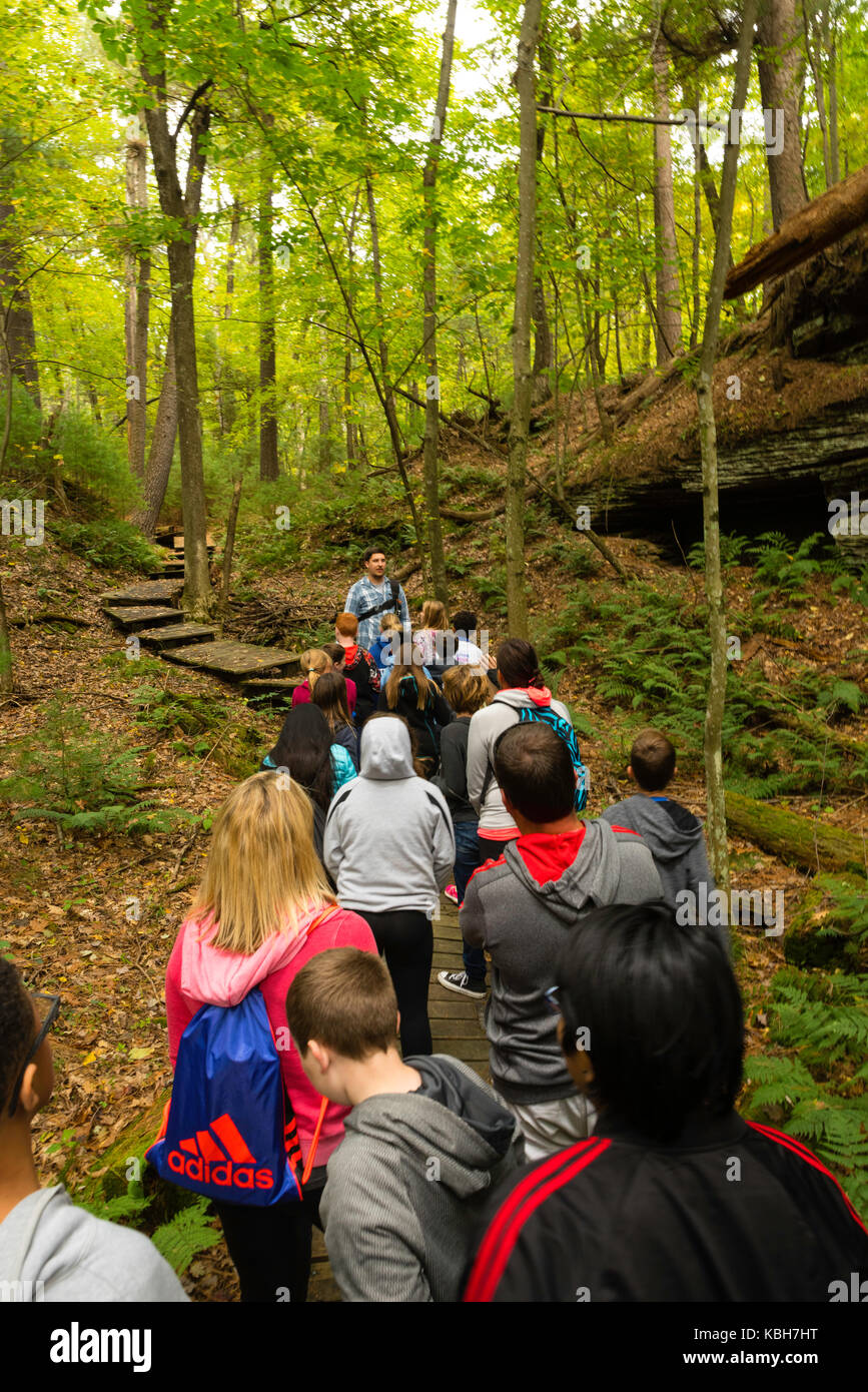 Kids walk in the woods and other environmental education activities at ...