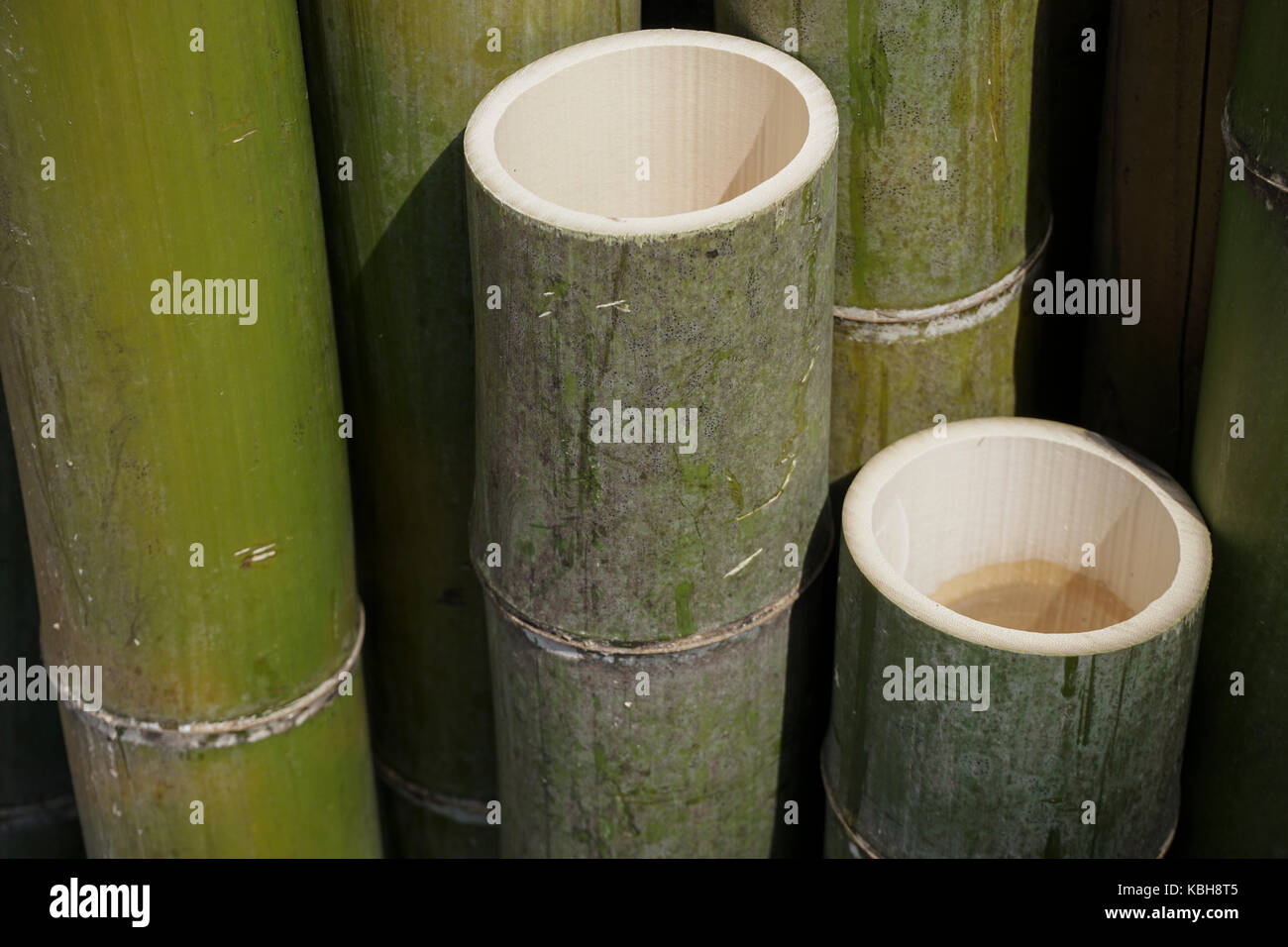 Bamboo Logs Stock Photos & Bamboo Logs Stock Images - Alamy