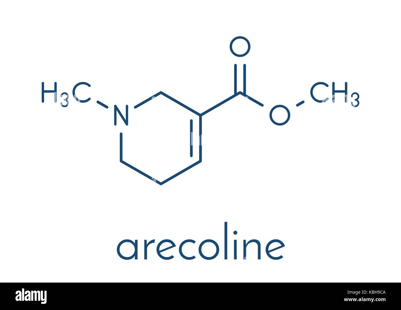 Arecoline areca nut stimulant compound, chemical structure. Skeletal ...