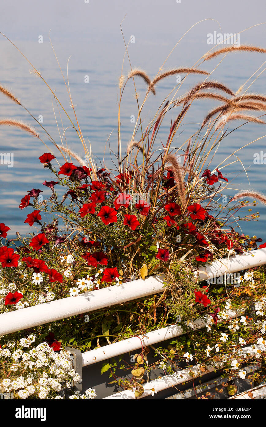 General view of the Leman Lake banks, Evian-Les-Bains, Savoie, France ...