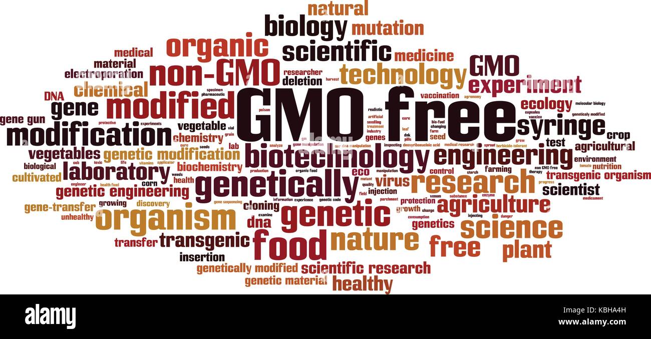 GMO free word cloud concept. Vector illustration Stock Vector Image ...