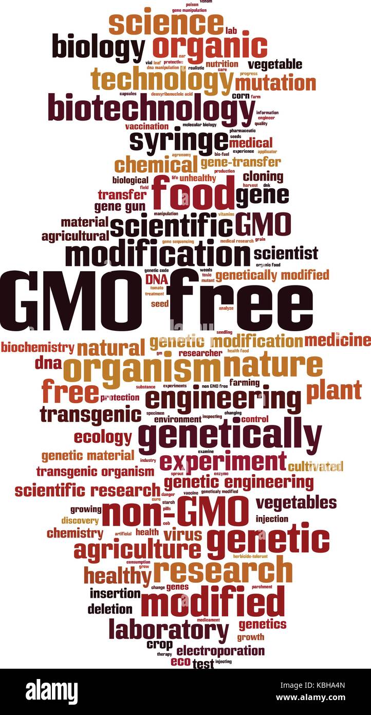 GMO free word cloud concept. Vector illustration Stock Vector Image ...
