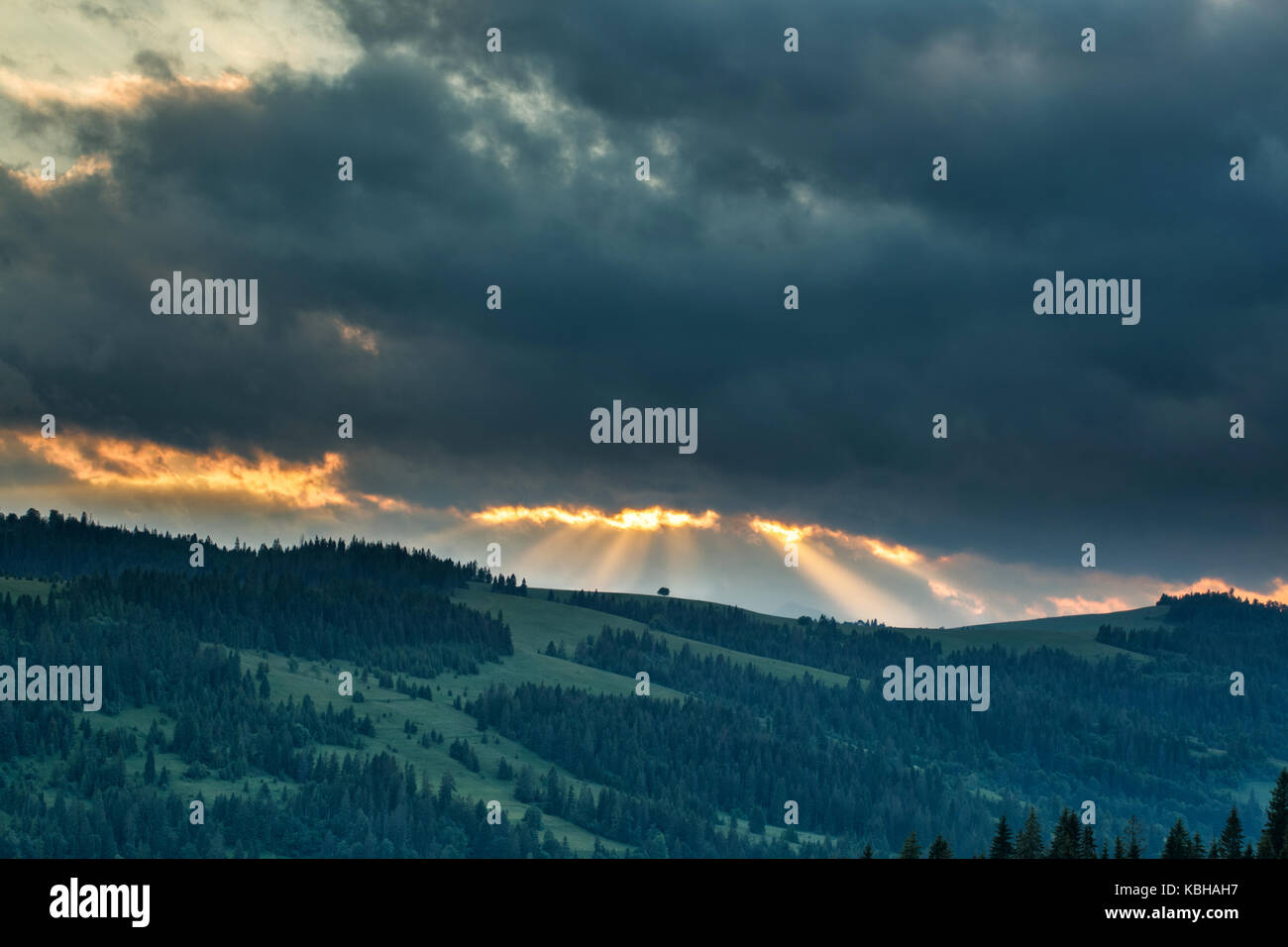 Storm clouds over the mountains and the forest during sunset Stock ...