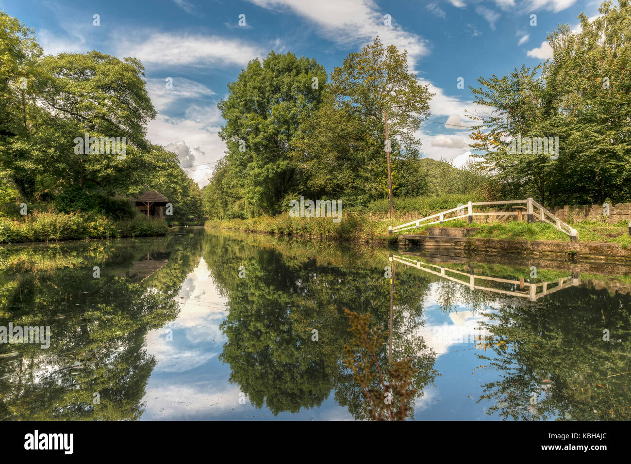 Canal tree reflections hi-res stock photography and images - Alamy