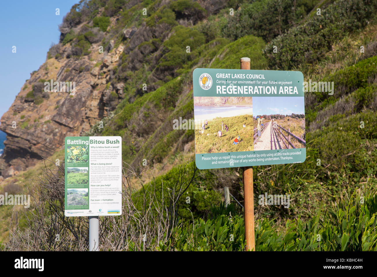 Dune regeneration hi-res stock photography and images - Alamy