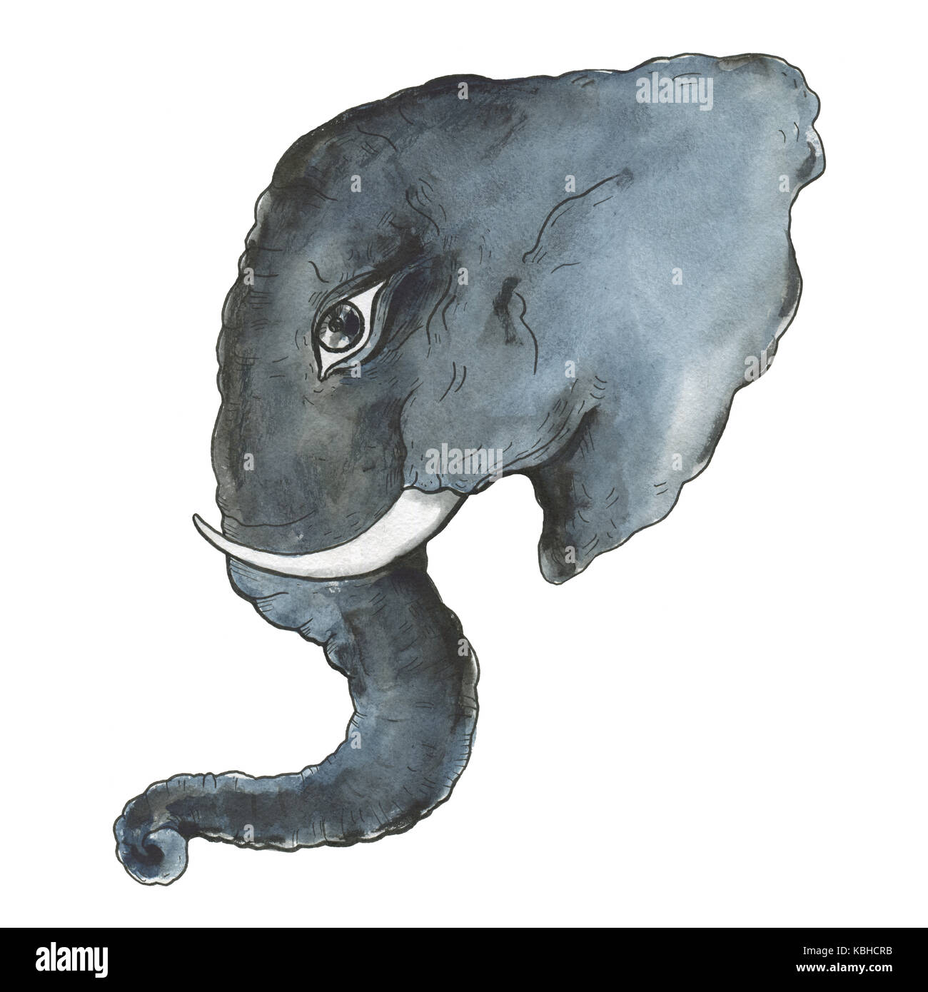 Powerful black white elephant Cut Out Stock Images & Pictures - Alamy