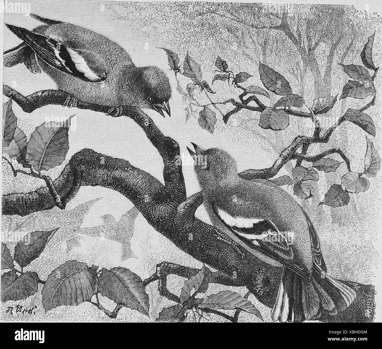 693 Black and White Stock Photos & Images - Alamy