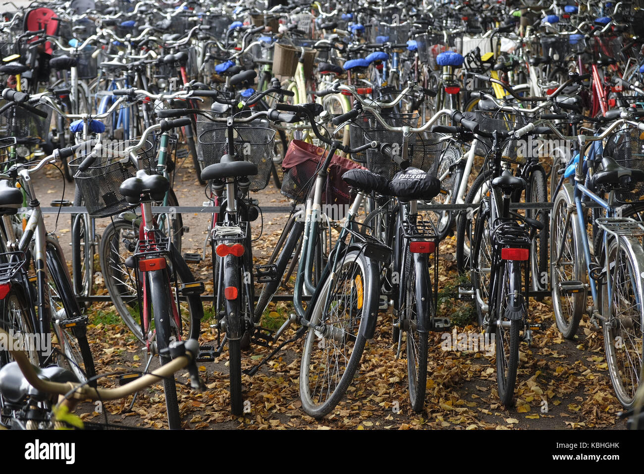 Bicycles in Västerås, Sweden Stock Photo - Alamy