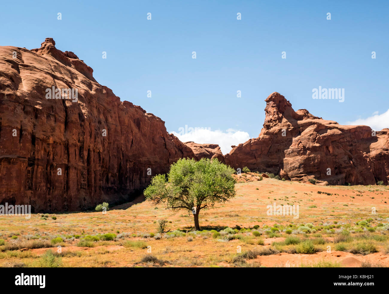 Monument valley arizona bird hi-res stock photography and images - Alamy