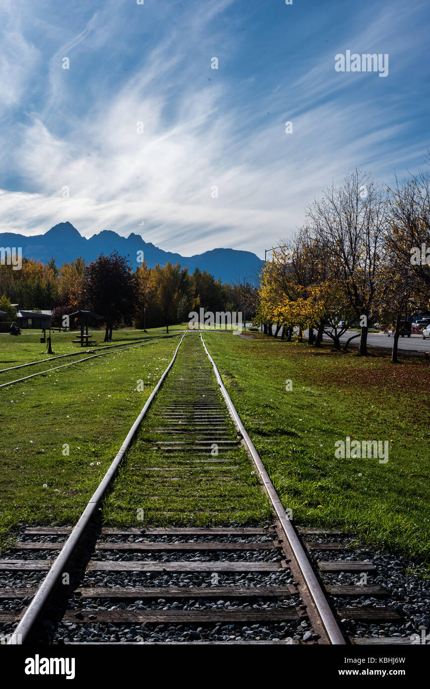Railroad tracks through grass with mountains in background Stock Photo ...