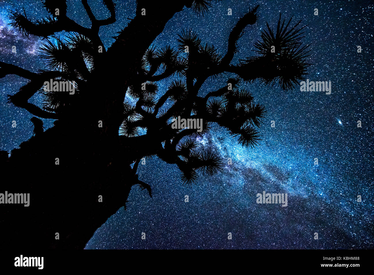 The night sky peppered with thousands of stars and the beautiful Milky ...