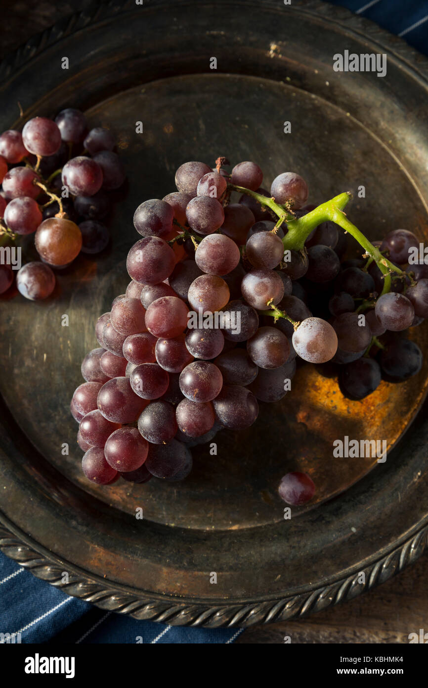 Raw Purple Organic Red Wine Grapes Ready to Eat Stock Photo - Alamy
