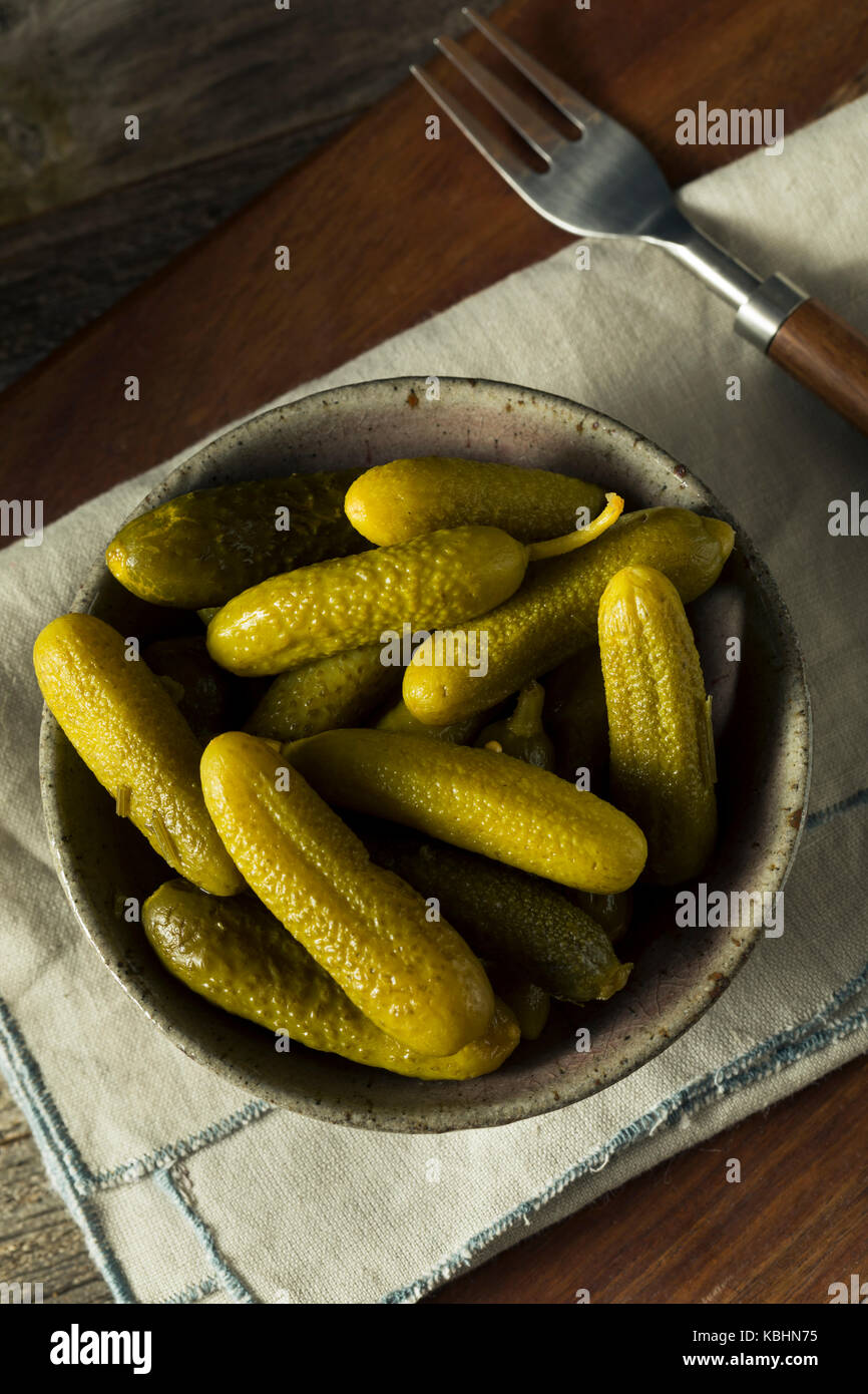 Pickled Organic Cornichon Gherkin Pickles with Dill and Spices Stock ...