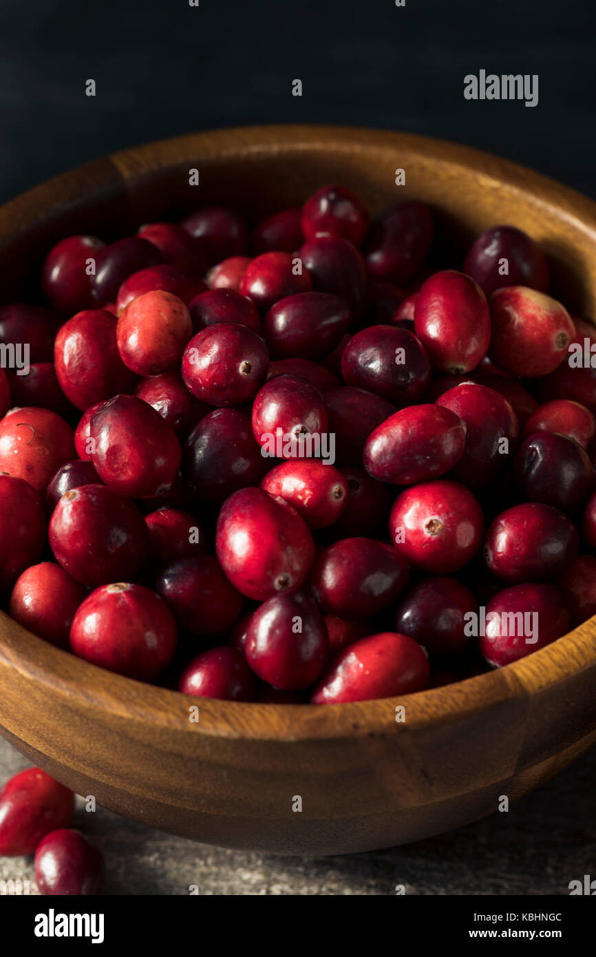 Raw Red Organic Cranberries Ready to Cook With Stock Photo - Alamy