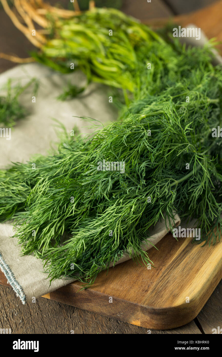 Raw Green Organic Whole Baby Dill Ready to Use Stock Photo - Alamy
