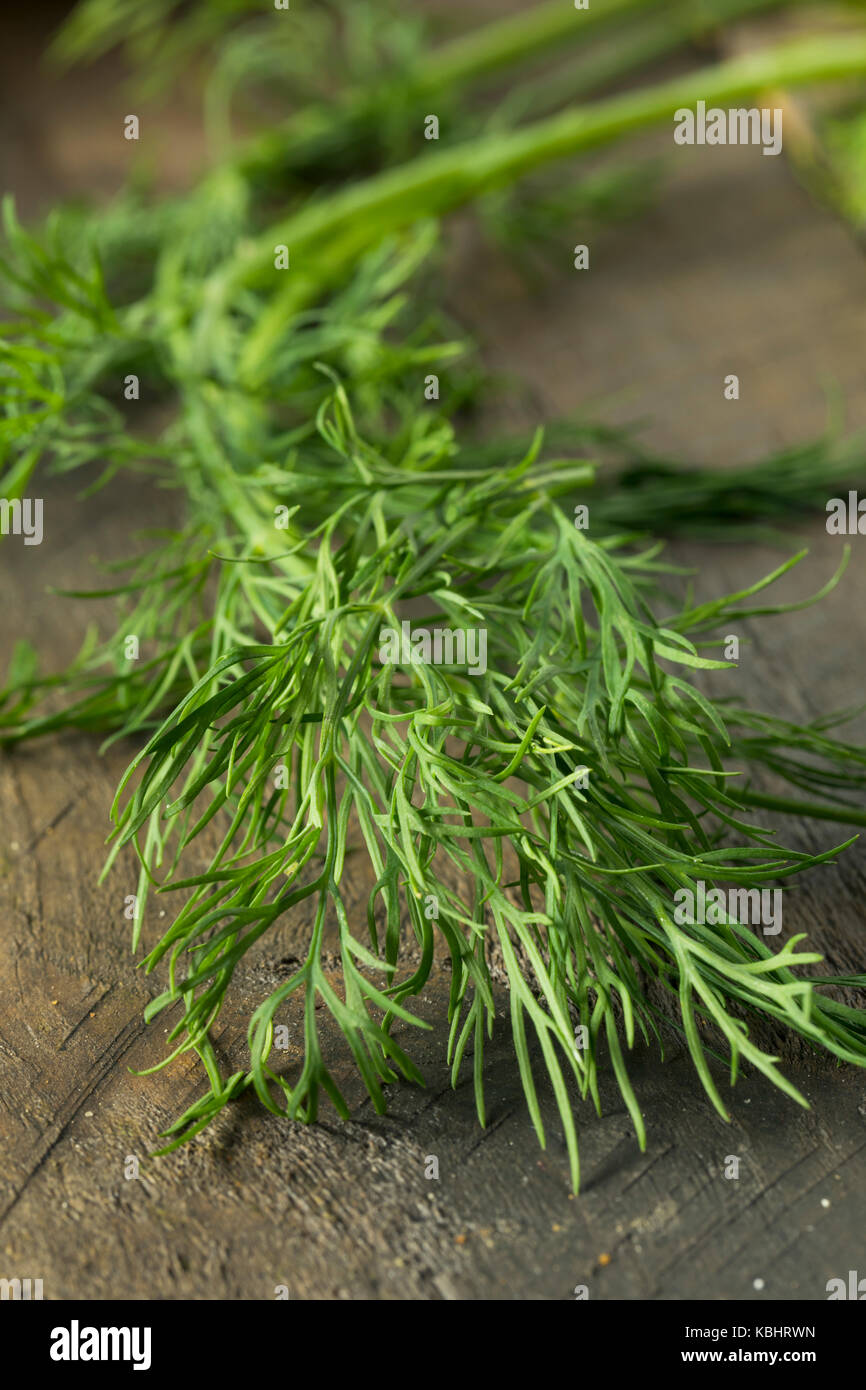 Raw Green Organic Whole Baby Dill Ready to Use Stock Photo - Alamy