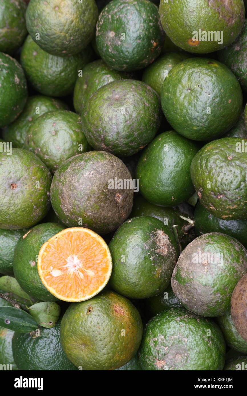 Zitrone aufgeschnitten hi-res stock photography and images - Alamy