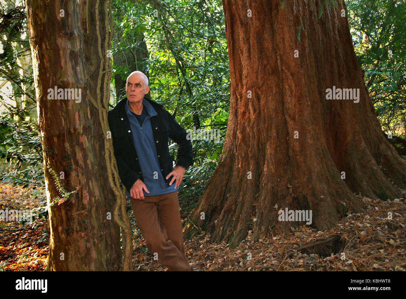 Artist Richard Long in his woodland near to his home near Bristol Stock ...
