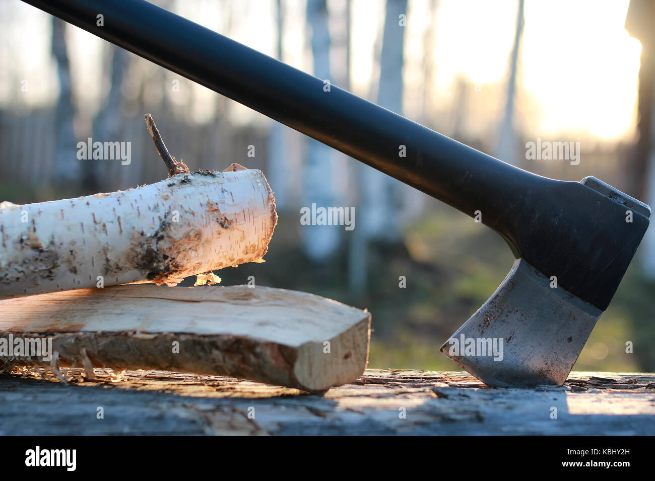 axe in wood outdoor Stock Photo - Alamy