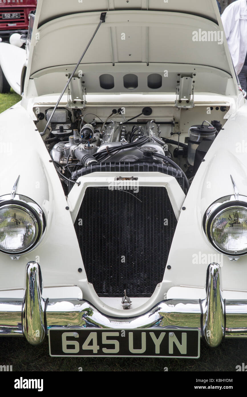 A white vintage jaguar with the bonnet open Stock Photo - Alamy