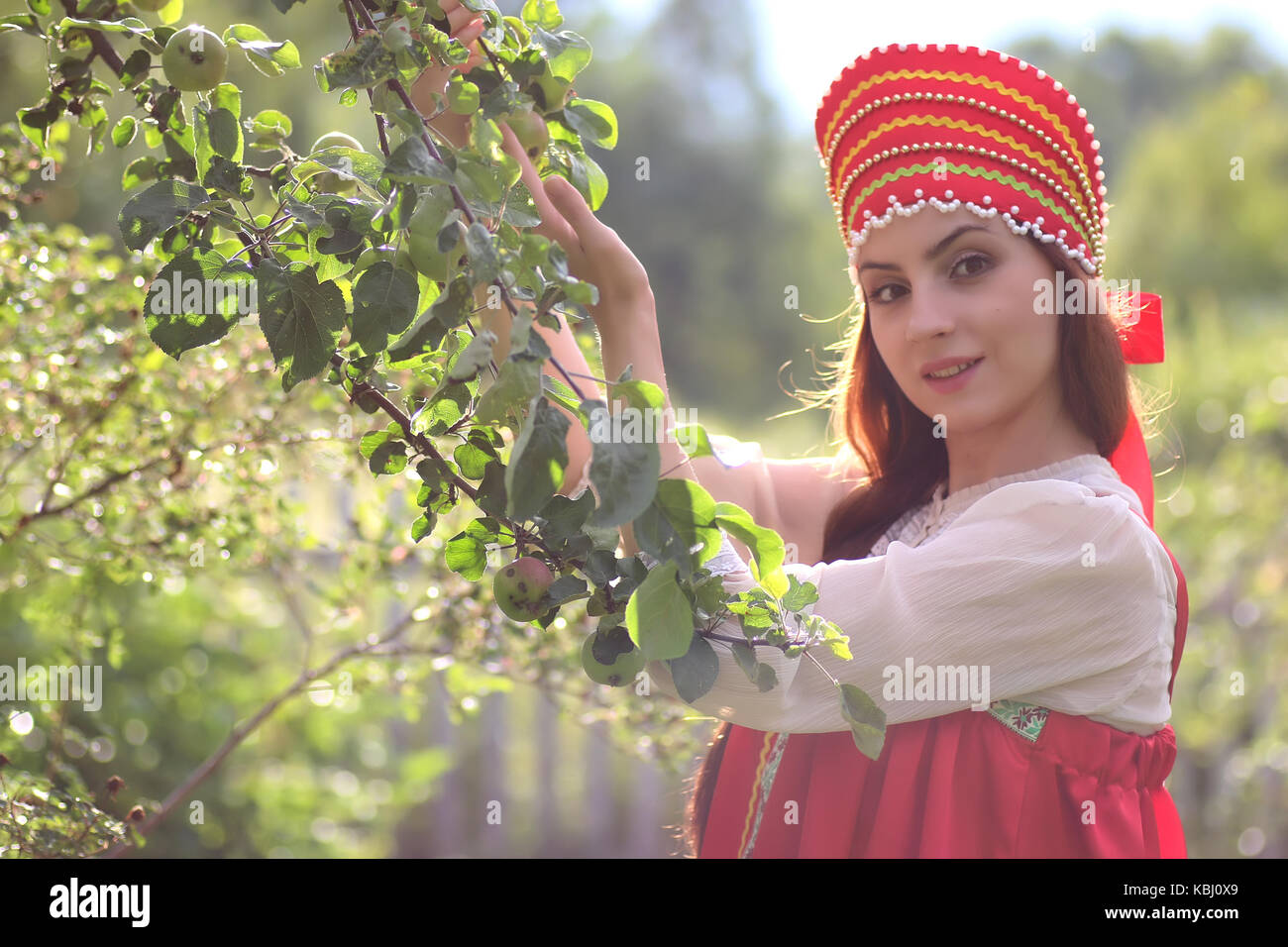 Slav in traditional dress collects the harvest of apples Stock Photo ...