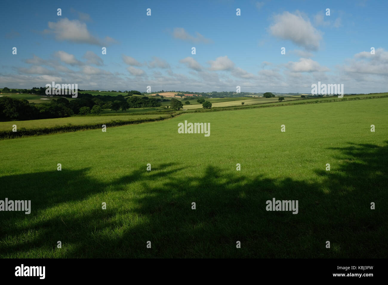 Fields and Clouds, mid Devon Stock Photo - Alamy