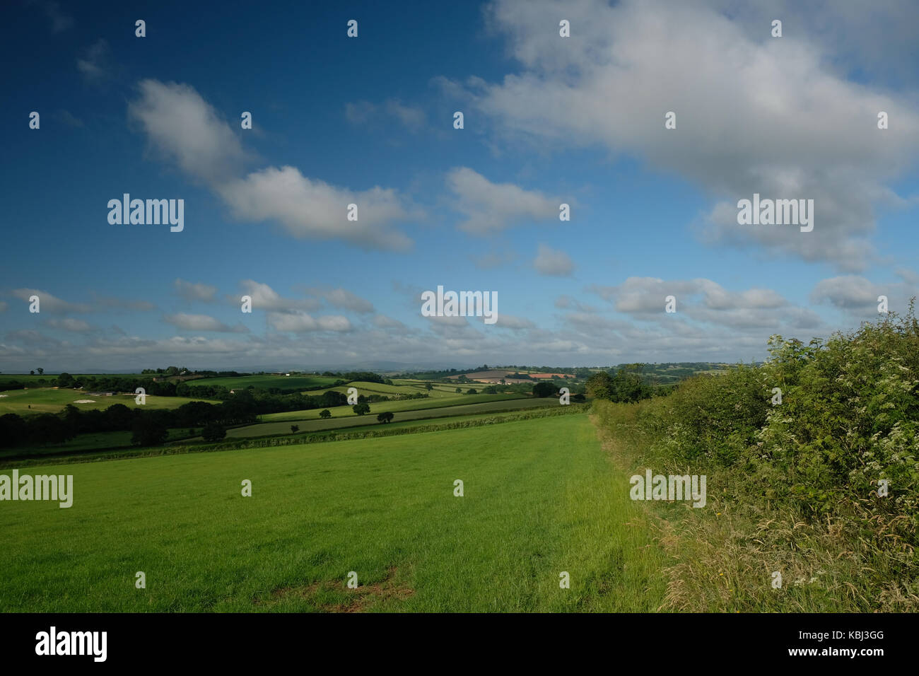 Fields and Clouds, mid Devon Stock Photo - Alamy
