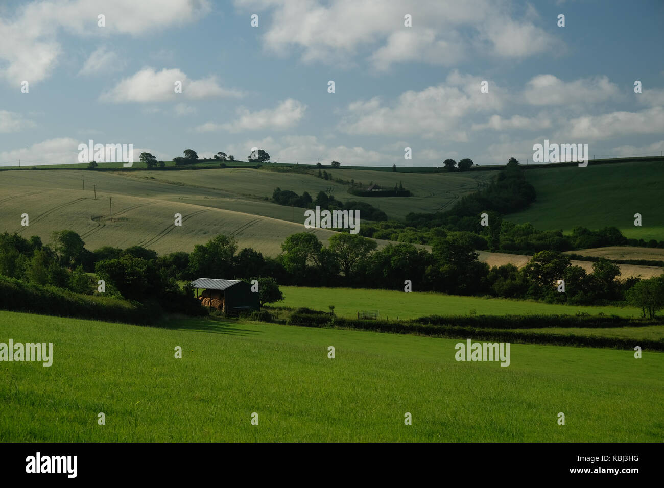 Fields and Clouds, mid Devon Stock Photo - Alamy